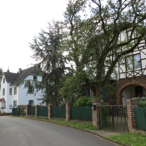 Barweiler | Verbandsgemeinde Adenau